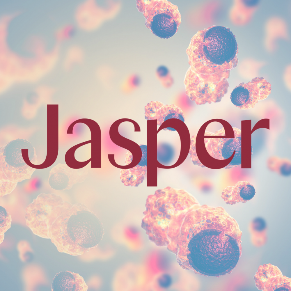 Jasper - Smart Planner for Cancer Care - Casting for Recovery